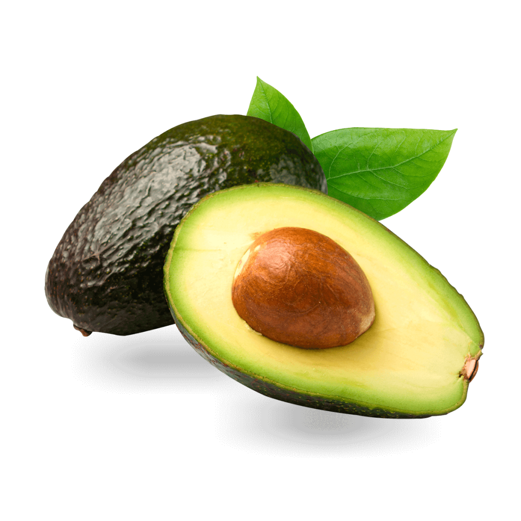 Aguacate – SicarFarms
