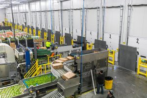 Nosotros – SicarFarms