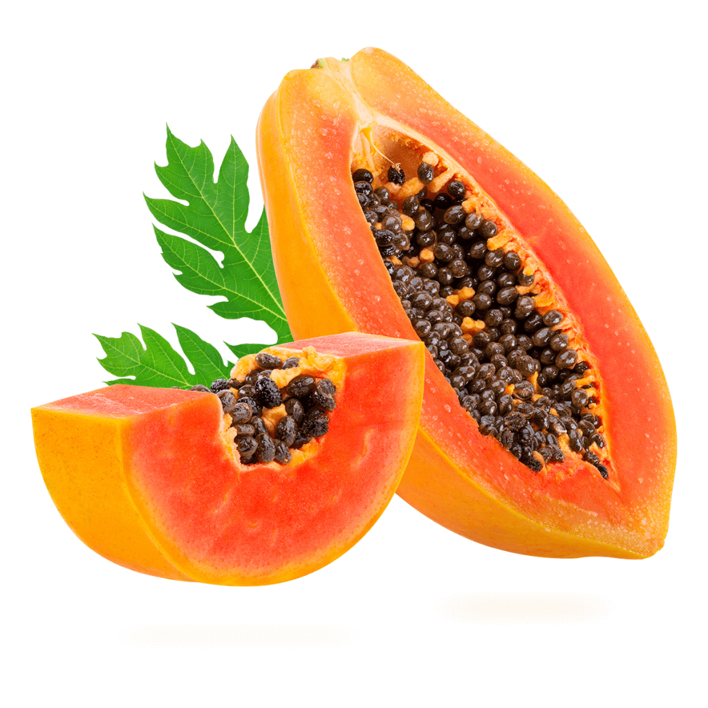 Papaya – SicarFarms
