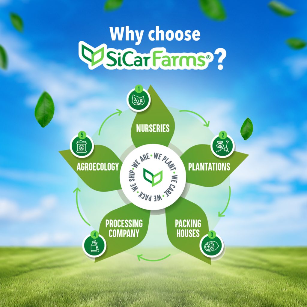 SicarFarms